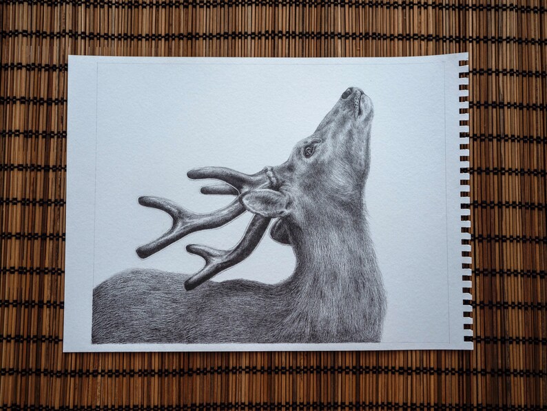 Forest Stag Deer Graphite Pencil Drawing Print - Etsy