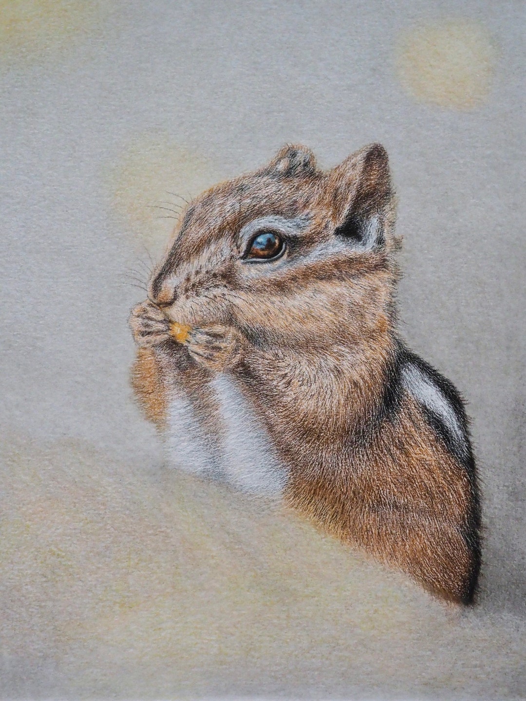 Forest Chipmunk Squirrel Watercolour Coloured Pencils Original Drawing ...