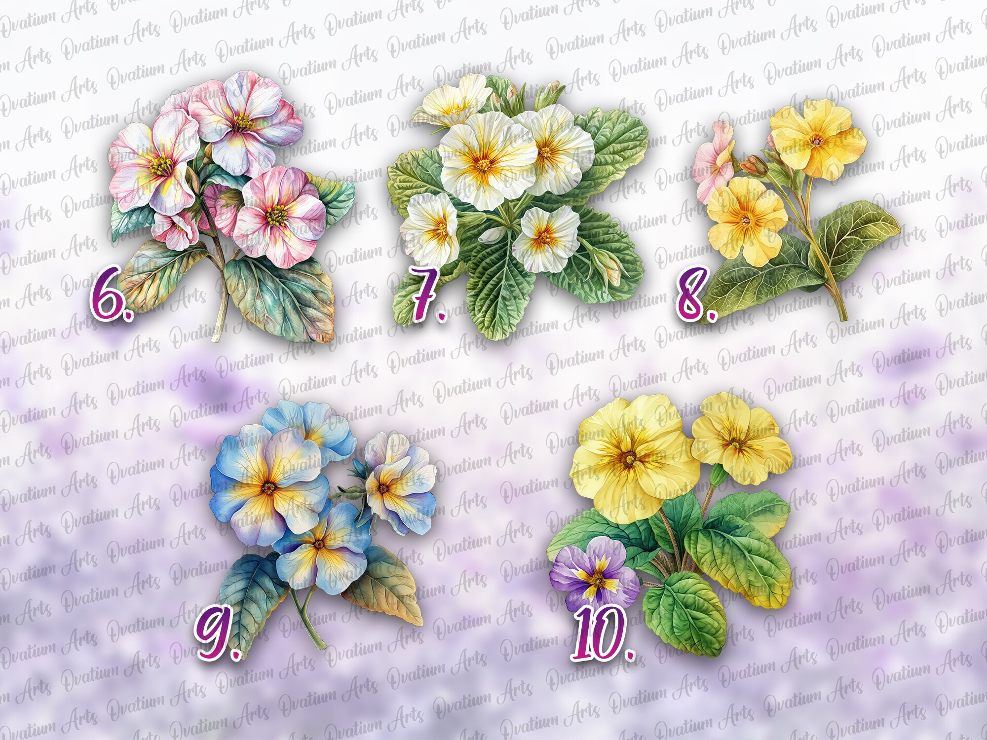 20 Custom February Violet & Primrose Birth Month Flower Clipart PNG ...