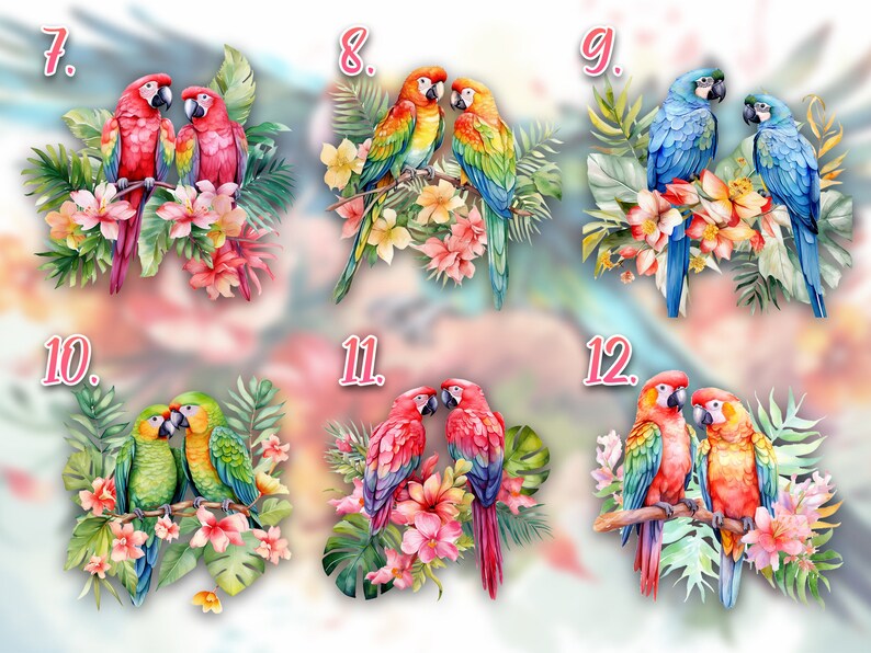 30 Watercolor Parrot PNG Parrot Bundle Parrot Clipart Tropical Birds ...