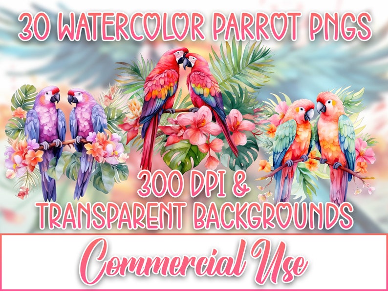 30 Watercolor Parrot PNG Parrot Bundle Parrot Clipart Tropical Birds ...