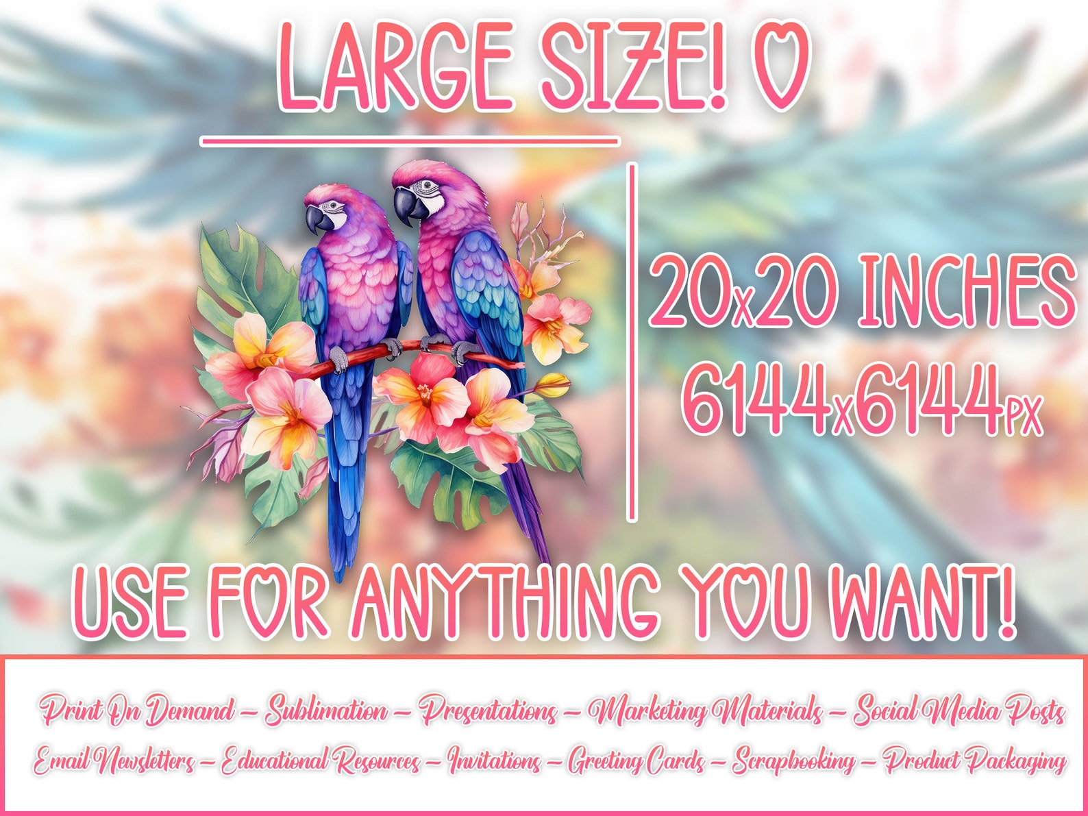 30 Watercolor Parrot PNG Parrot Bundle Parrot Clipart Tropical Birds ...