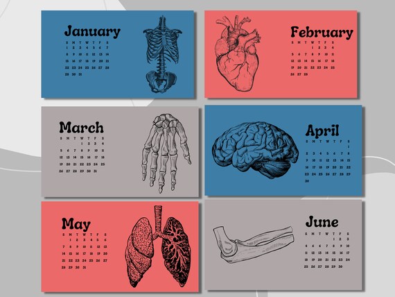 2023 Calendar Doctor Calendar Skeleton Calendar Halloween - Etsy