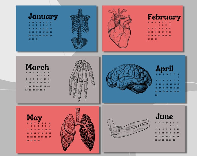 2023 Calendar, Doctor Calendar, Skeleton Calendar, Halloween Calendar ...