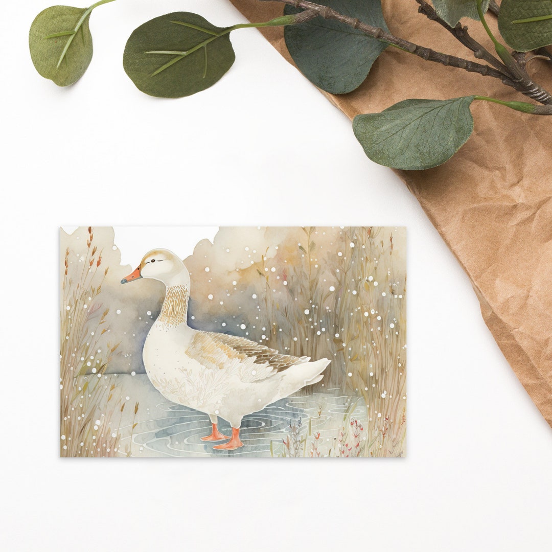 White Goose Postcard - Snow Geese Card - Bird Wildlife Pond Honk - Etsy