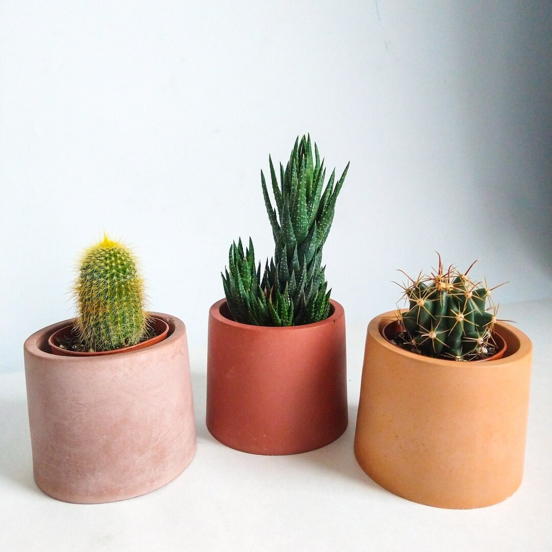 Small Planter,small Concrete Planter,succulent Planter,cactus Planter ...