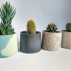 Small Planter,small Concrete Planter,succulent Planter,cactus Planter ...