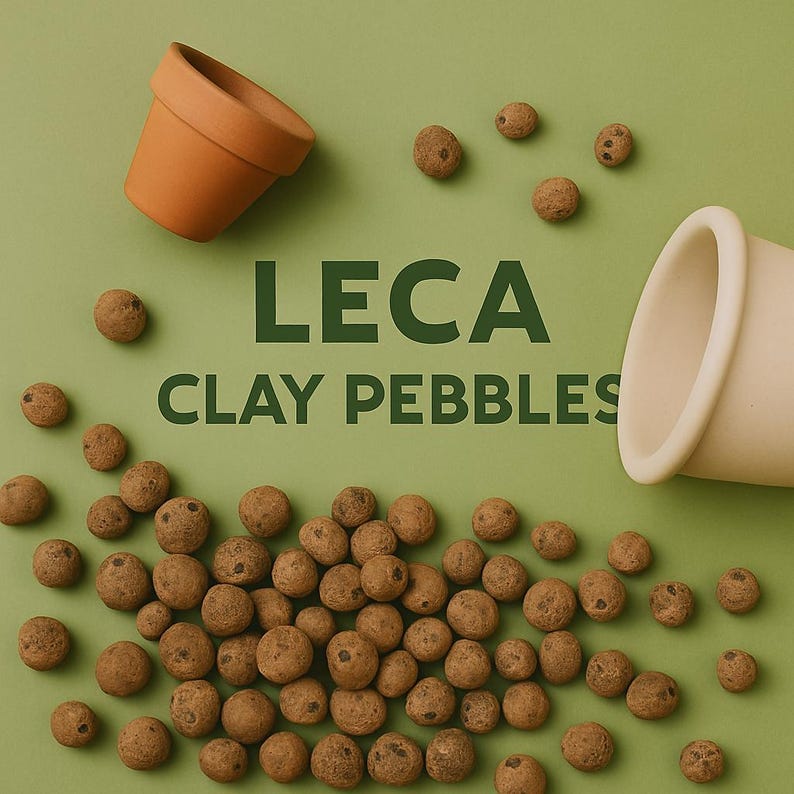 LECA for Hydroponics & Plant Propagation,1 Gallon Clay Pebbles, Soil ...