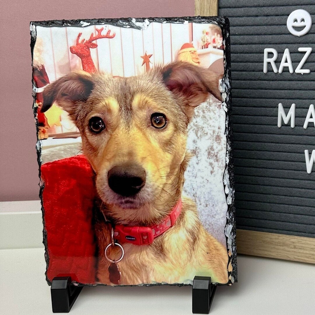 Photo Slate Custom Photo Rock Slate Tile Personalised Picture Gift ...