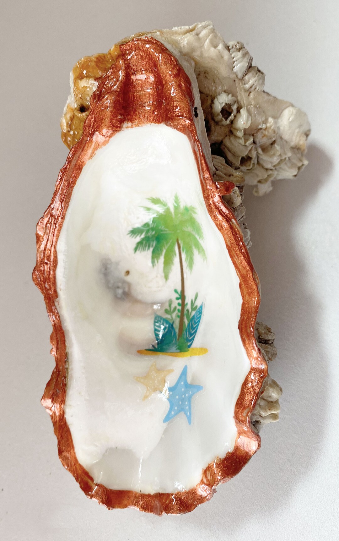 CLEARANCE Oyster Shell Palm Tree Ring Dish - Etsy