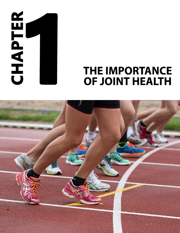 Joint Health 101: A Comprehensive Guide to Maintaining Healthy Joints ...
