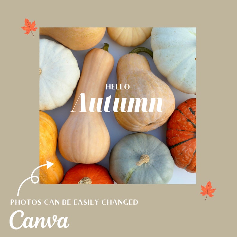 Fall Aesthetic Social Media Post for Realtors | Real Estate Marketing ...