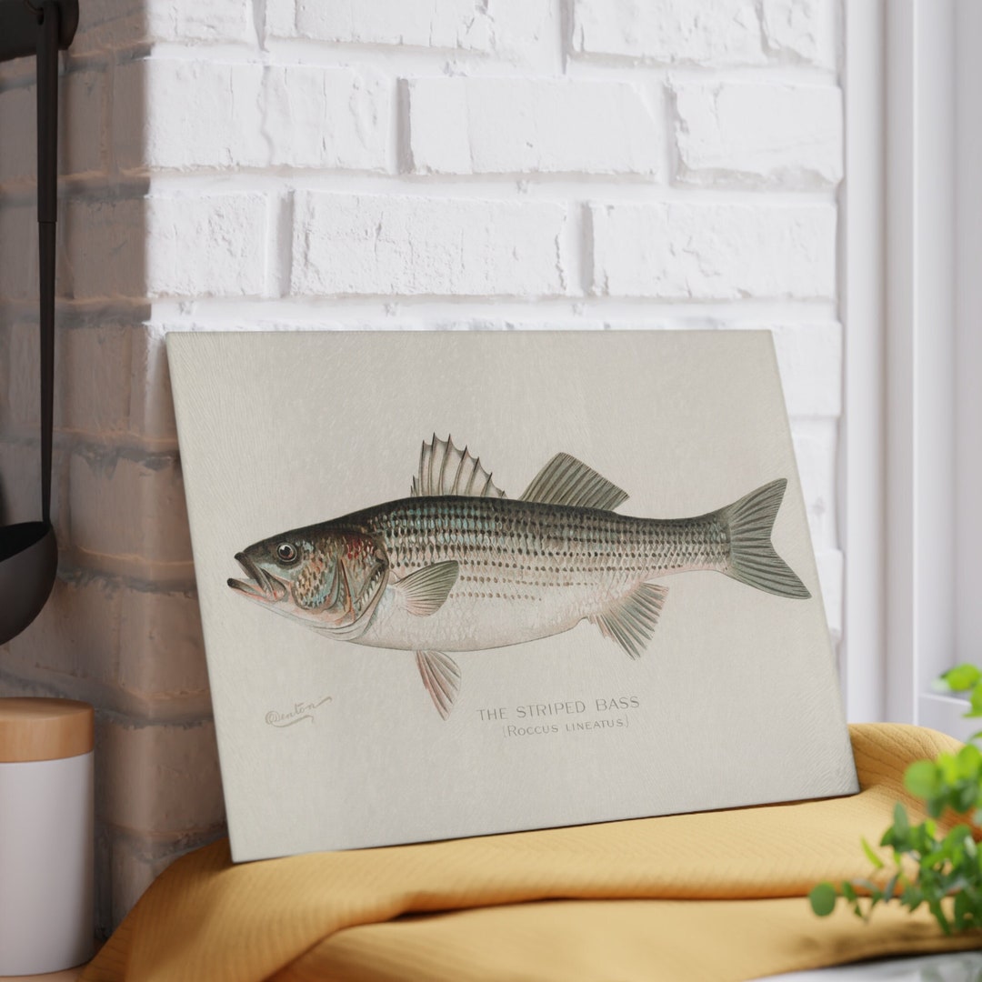 Glass Cutting Board, Fish Kitchenware for Fisherman Gift, Stripped Bass ...