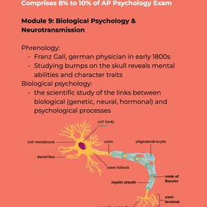 The Complete AP Psychology Study Guide Notes - Etsy