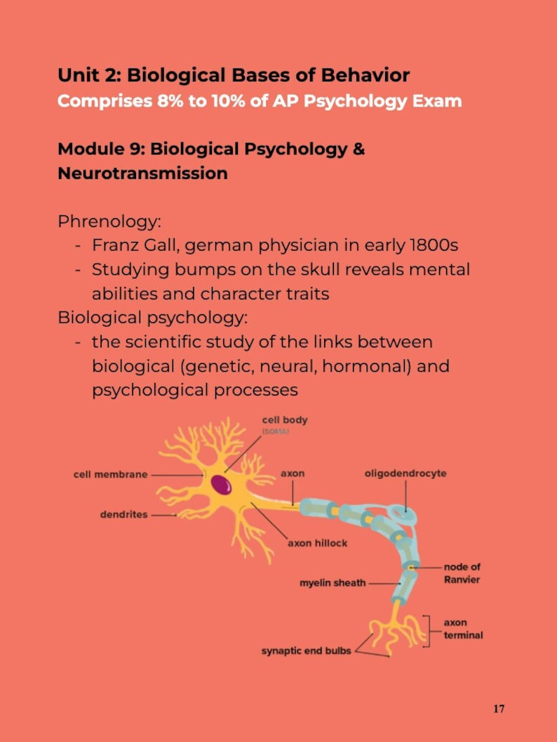 The Complete AP Psychology Study Guide Notes - Etsy