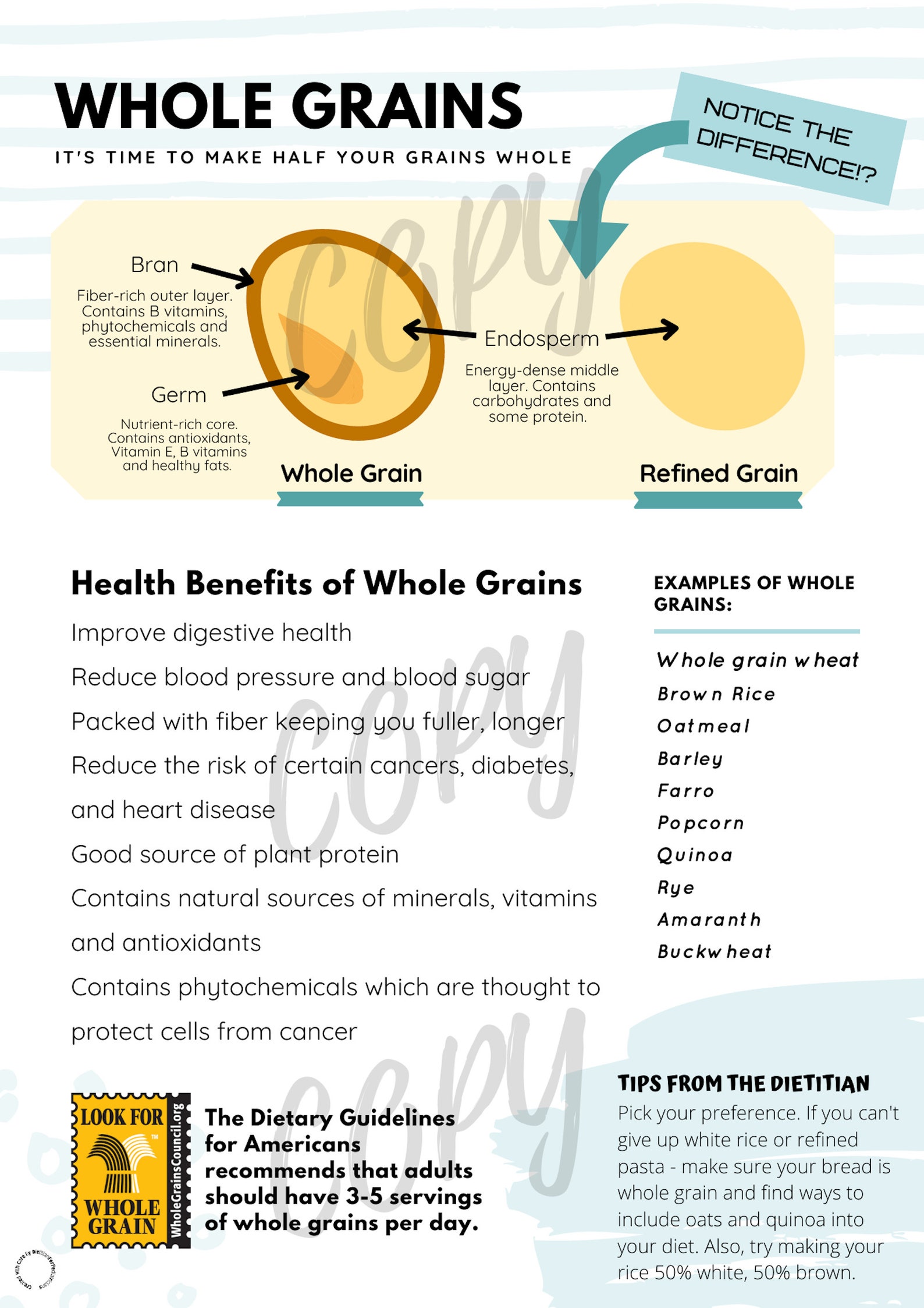 Whole Grains Nutrition Education Flyer for Rds, Doctors, Nutritionists ...