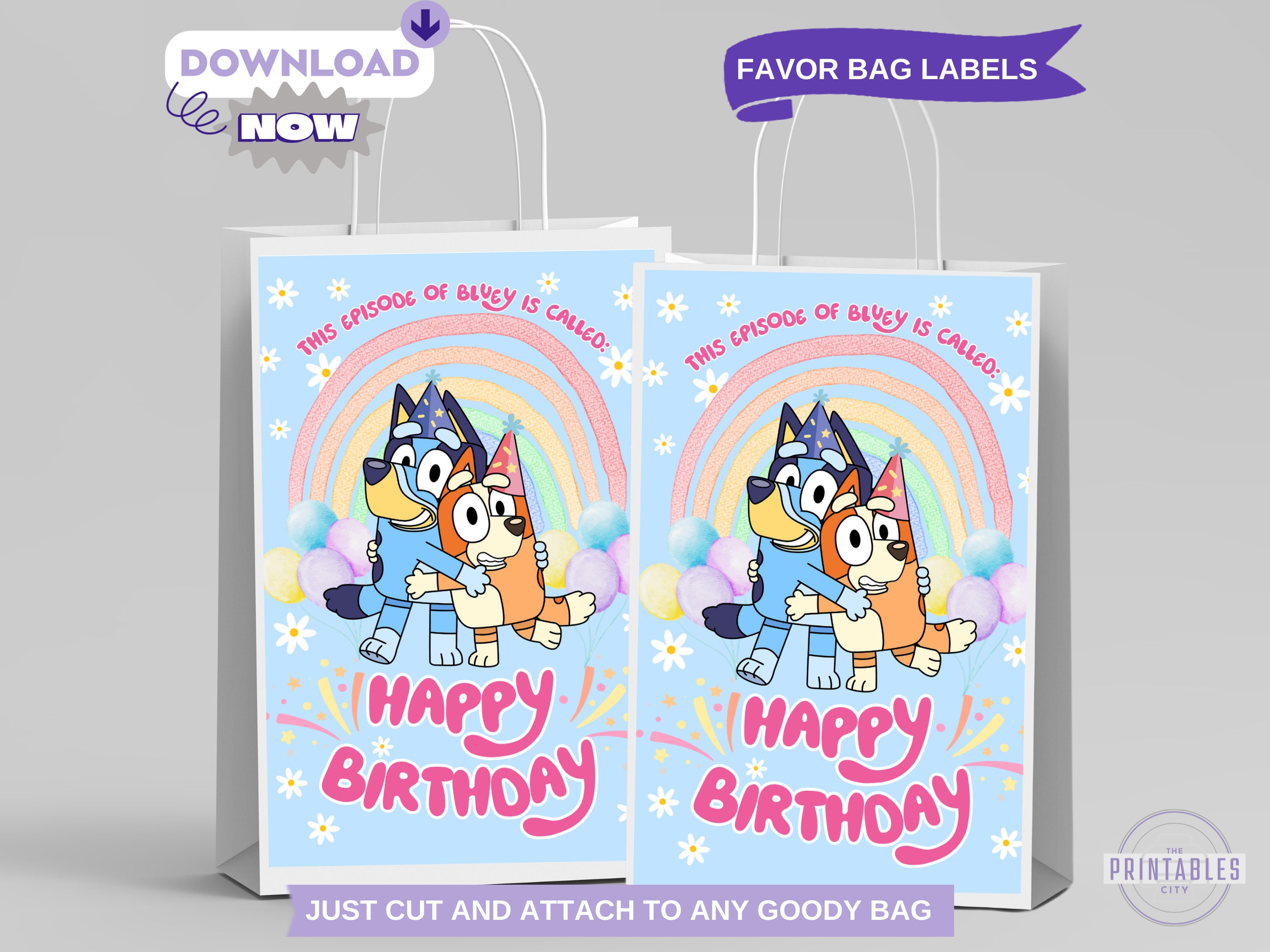 INSTANT DOWNLOAD Bluey Goody Bag Labels, Bluey Birthday Party Decor ...