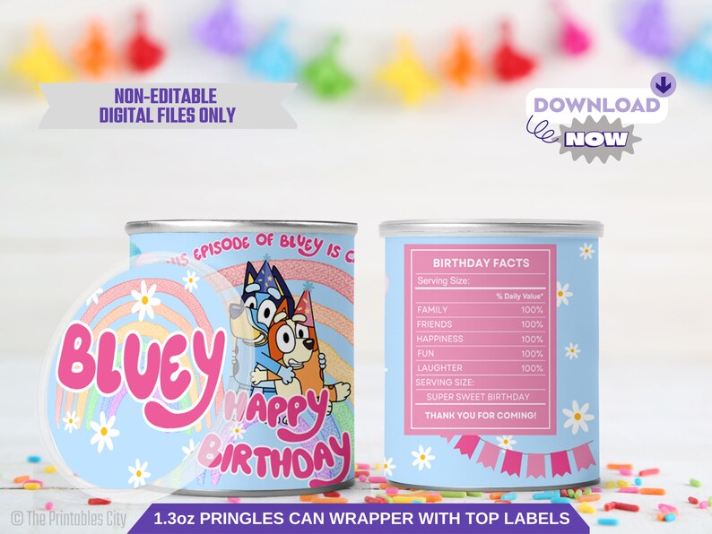 INSTANT DOWNLOAD Bluey Birthday, Bluey Party Package, Kids Birthday ...