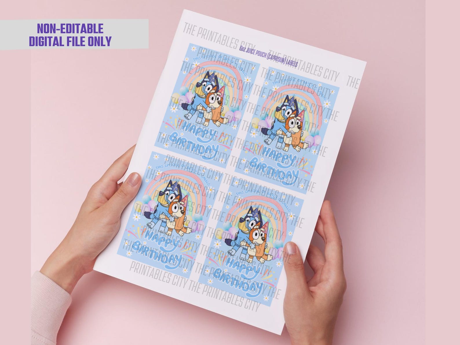 Bluey Caprisun Label for Birthday Party, Kids Birthday Printable ...