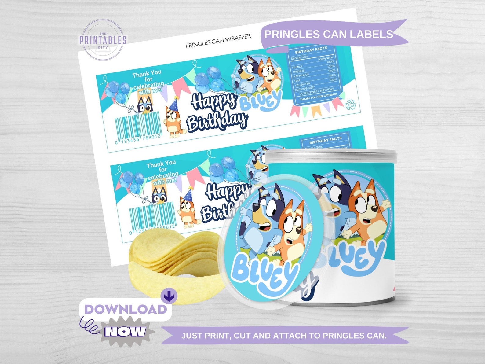 INSTANT DOWNLOAD Pringles Can Wrapper, Bluey Birthday Party Decor ...