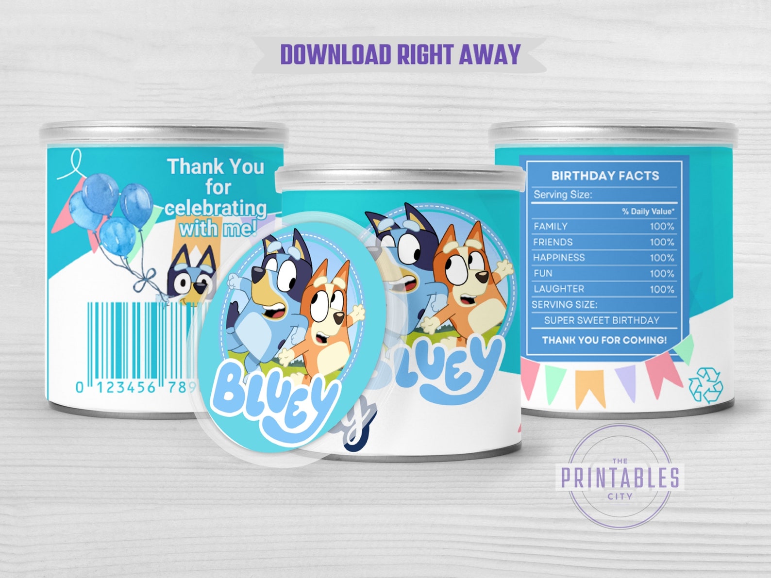 INSTANT DOWNLOAD Pringles Can Wrapper, Bluey Birthday Party Decor ...