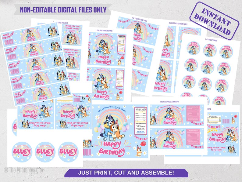 INSTANT DOWNLOAD Bluey Birthday, Bluey Party Package, Kids Birthday ...