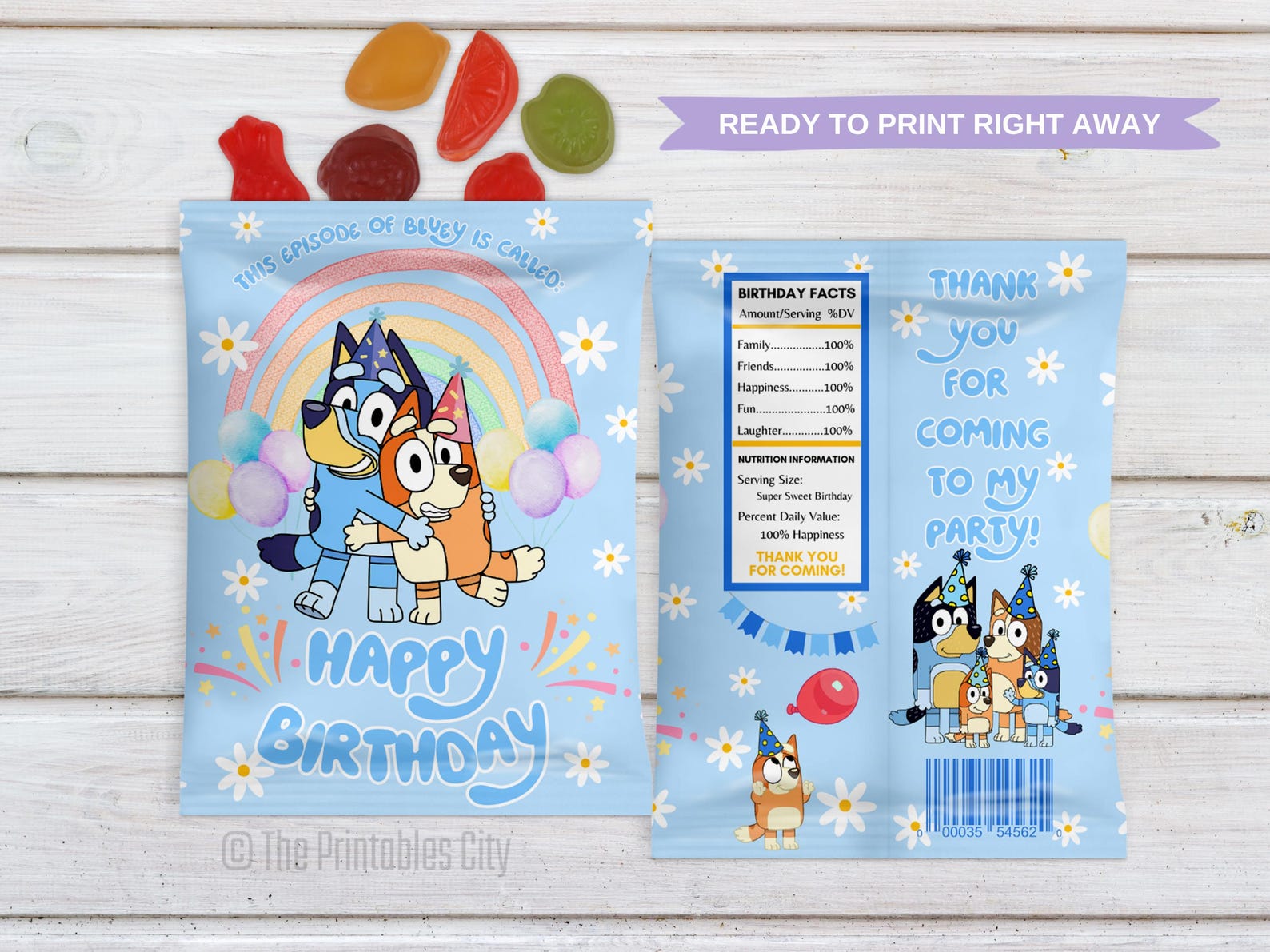 Bluey Fruit Snacks for Birthday Party, Kids Birthday Printable ...