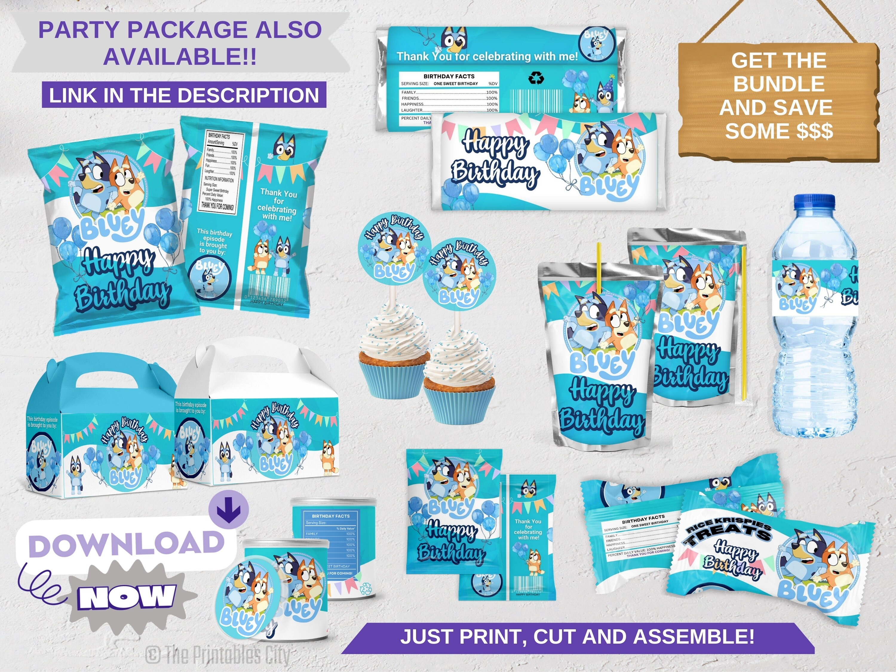 Bluey Chip Bag for Birthday Party, Kids Birthday Printable, Birthday ...