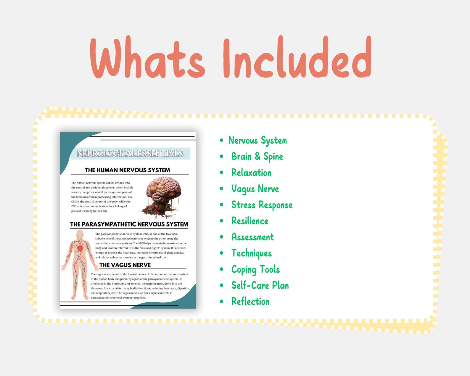 Nervous System Regulation Workbook, Somatic Exercise Polyvagal Theory ...