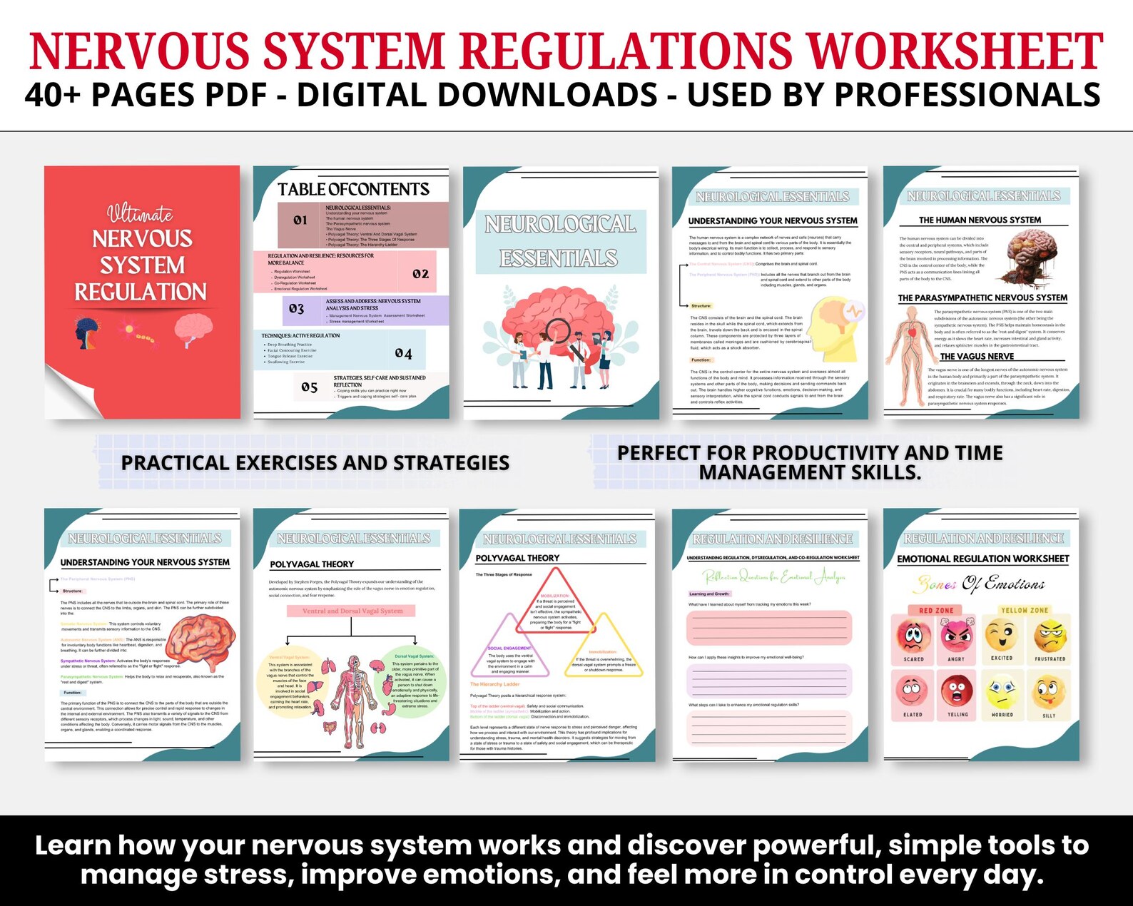 Nervous System Regulation Workbook, Somatic Exercise Polyvagal Theory ...