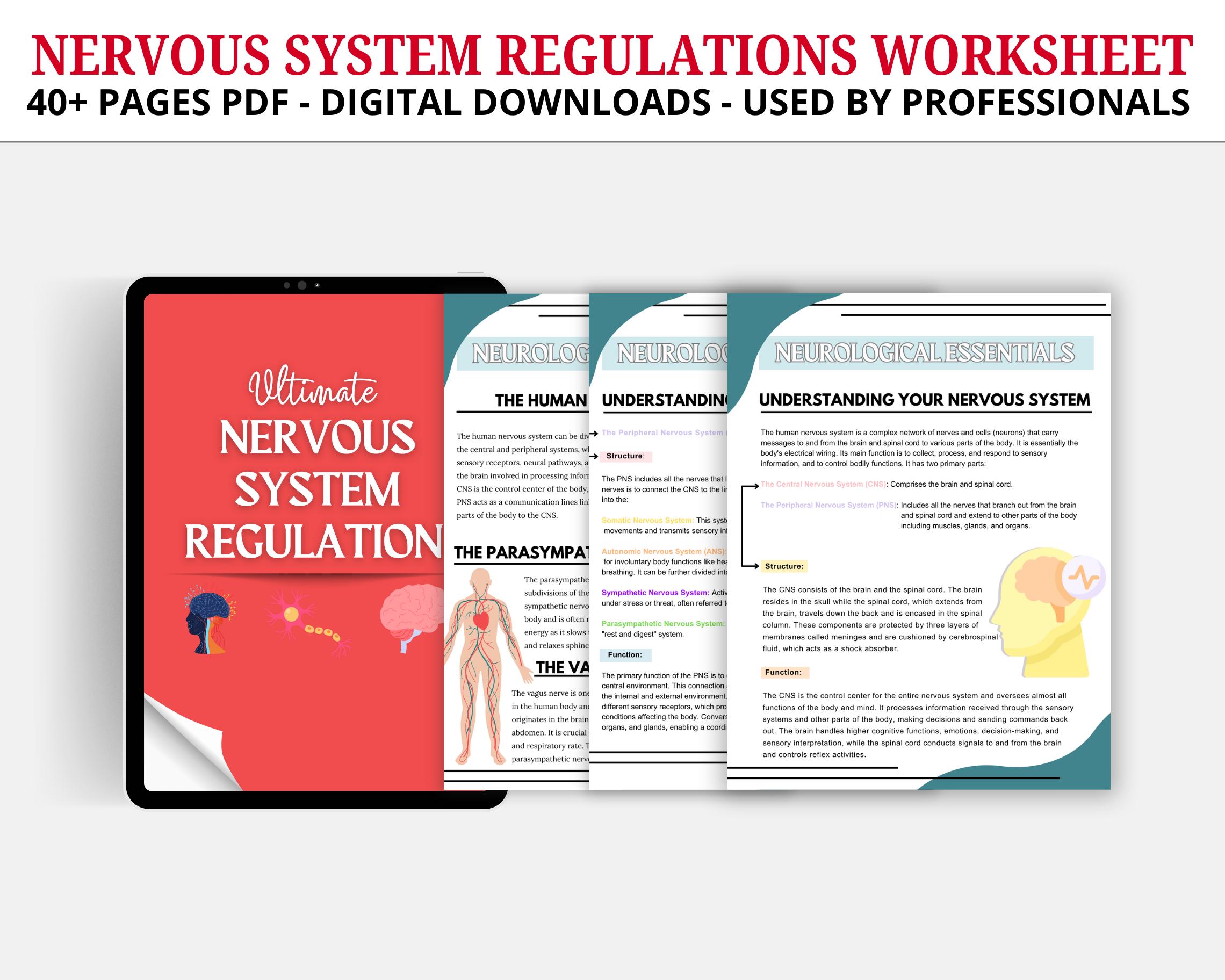 Nervous System Regulation Workbook, Somatic Exercise Polyvagal Theory ...