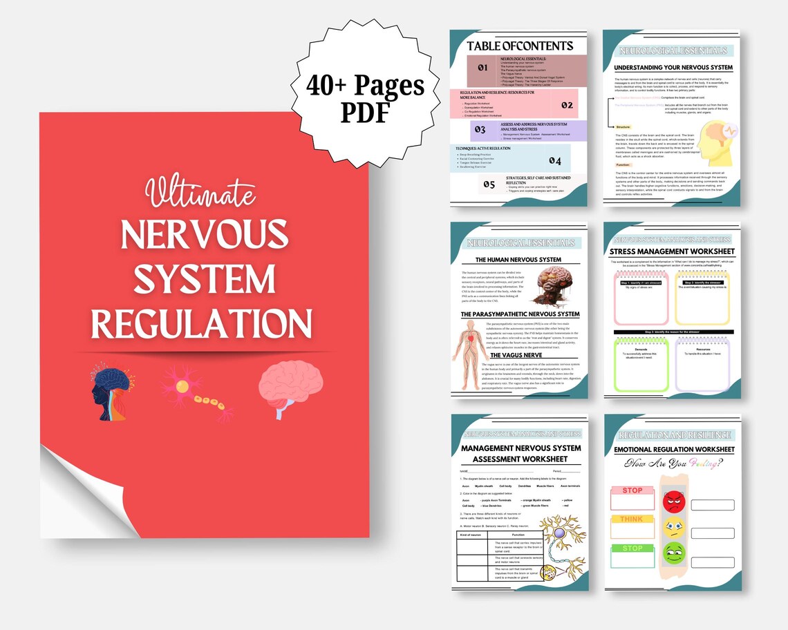 Nervous System Regulation Workbook, Somatic Exercise Polyvagal Theory ...