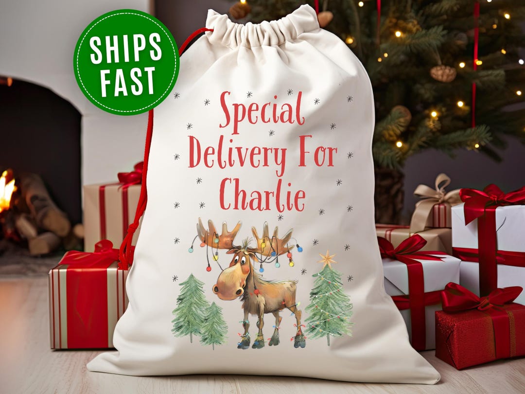 Special Delivery Santa Bag, Custom Moose Christmas Santa Bag for ...