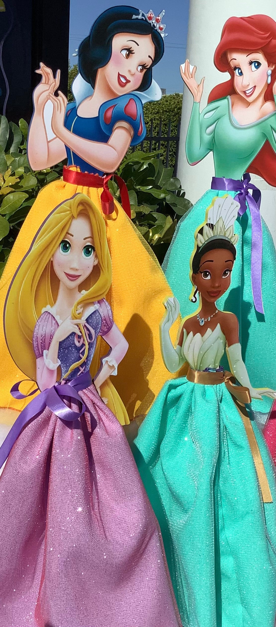 Disney Princess Theme Disney Princess Party Decorations - Etsy