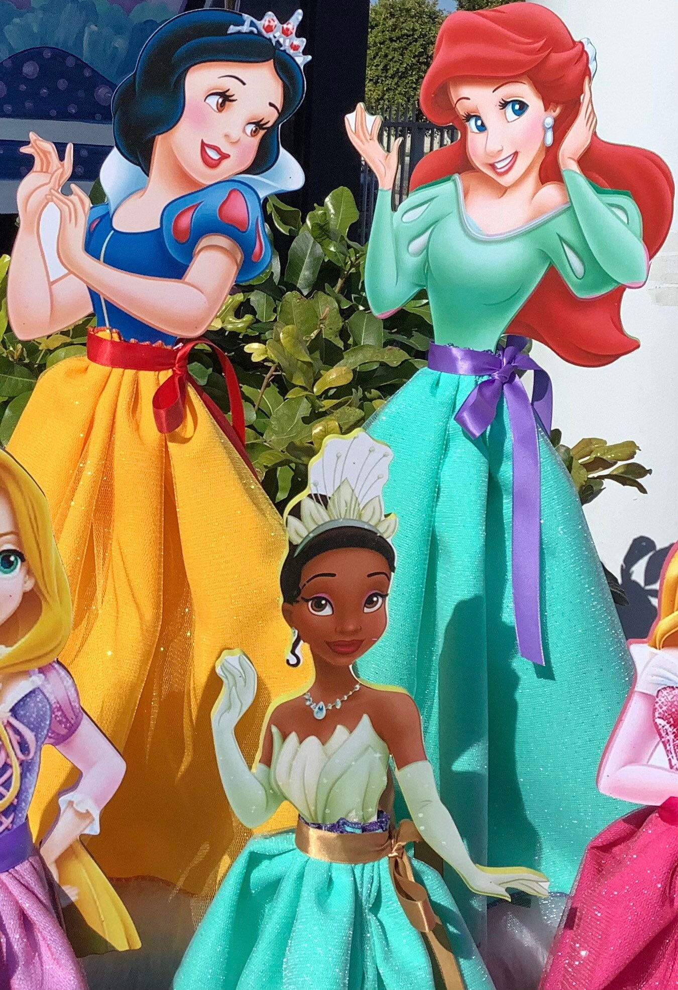 Disney Princess Theme Disney Princess Party Decorations - Etsy