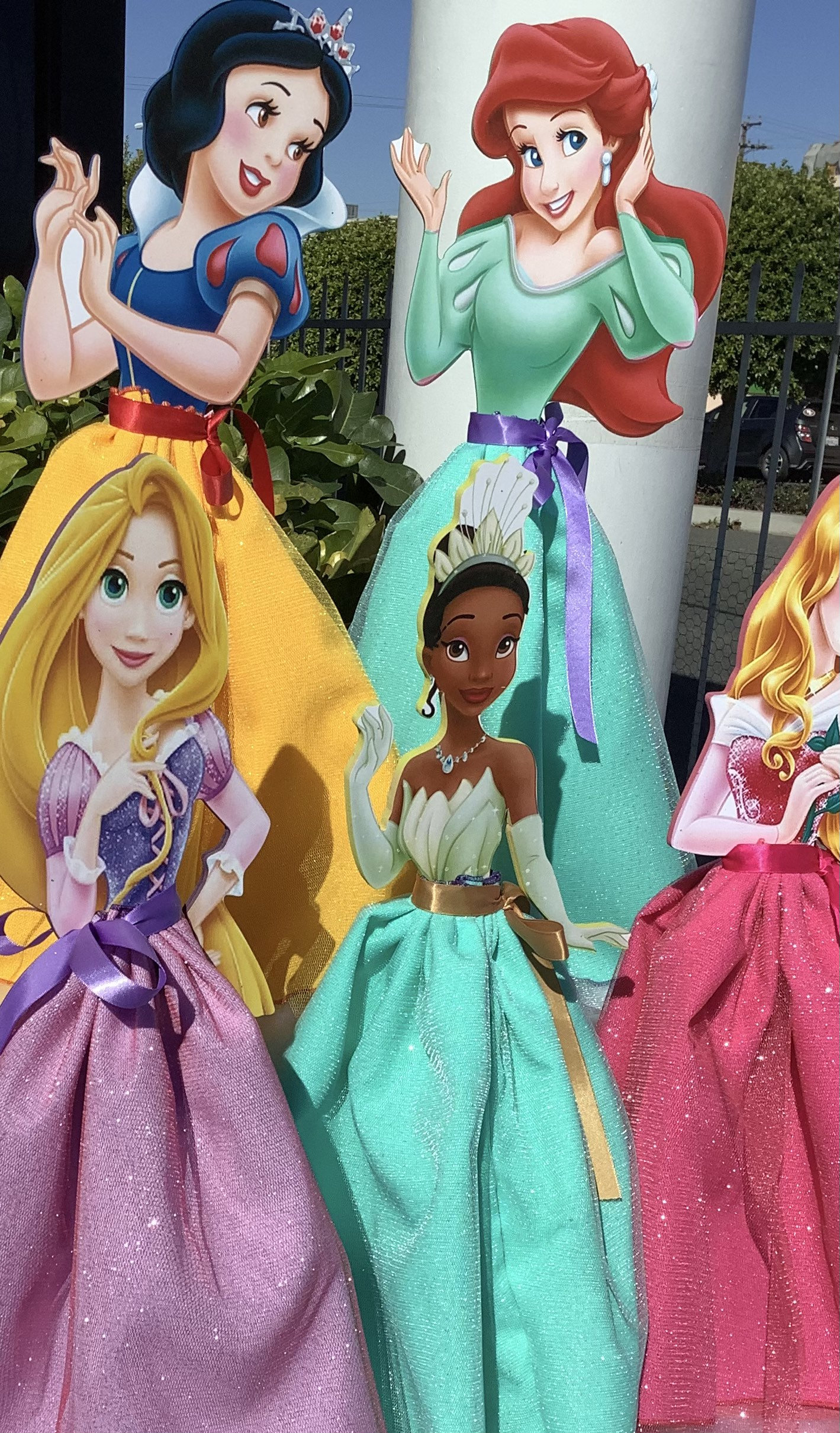 Disney Princess Theme Disney Princess Party Decorations - Etsy