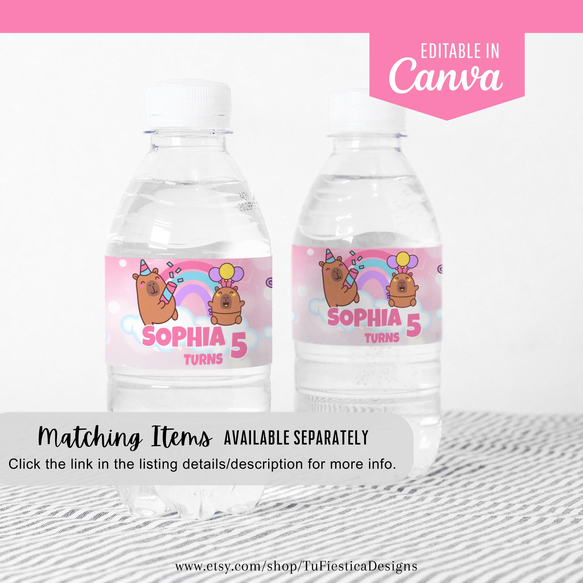 Editable Capybara Birthday Banner Printable | Carpincho Party Decor ...