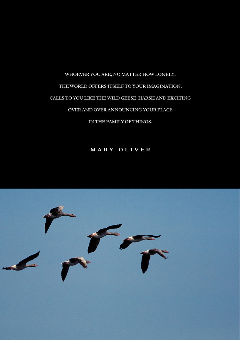 Wild Geese Mary Oliver Poem Print Wall Art Whoever You Are Digital ...