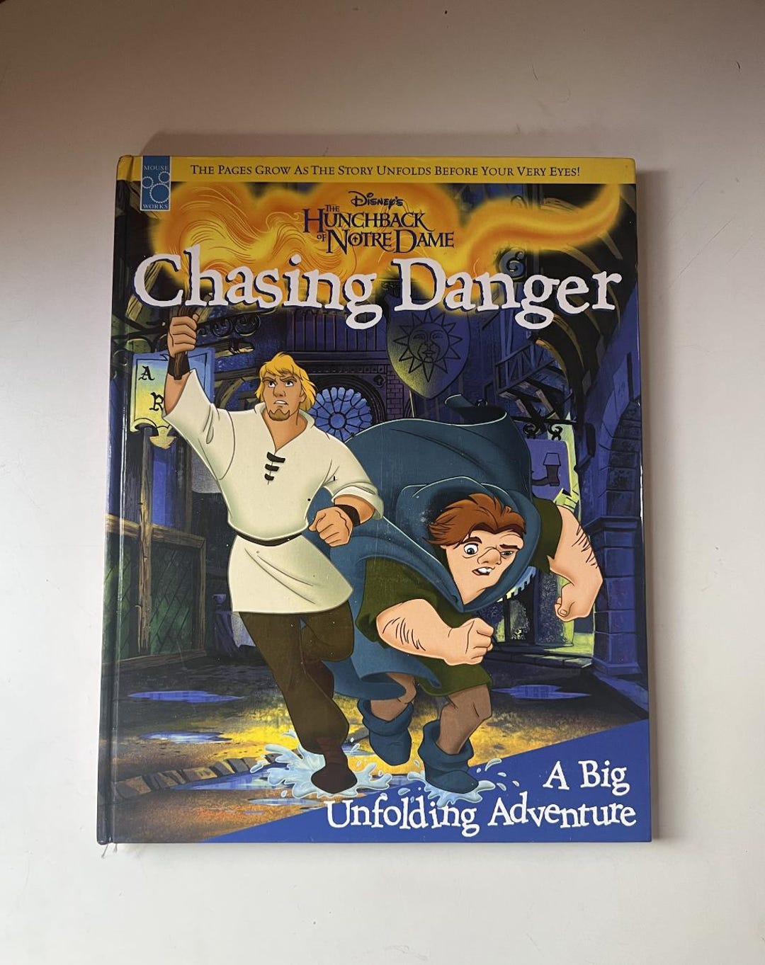 Vintage 1996 Disney's the Hunchback of Notre Dame: Chasing Danger - A ...