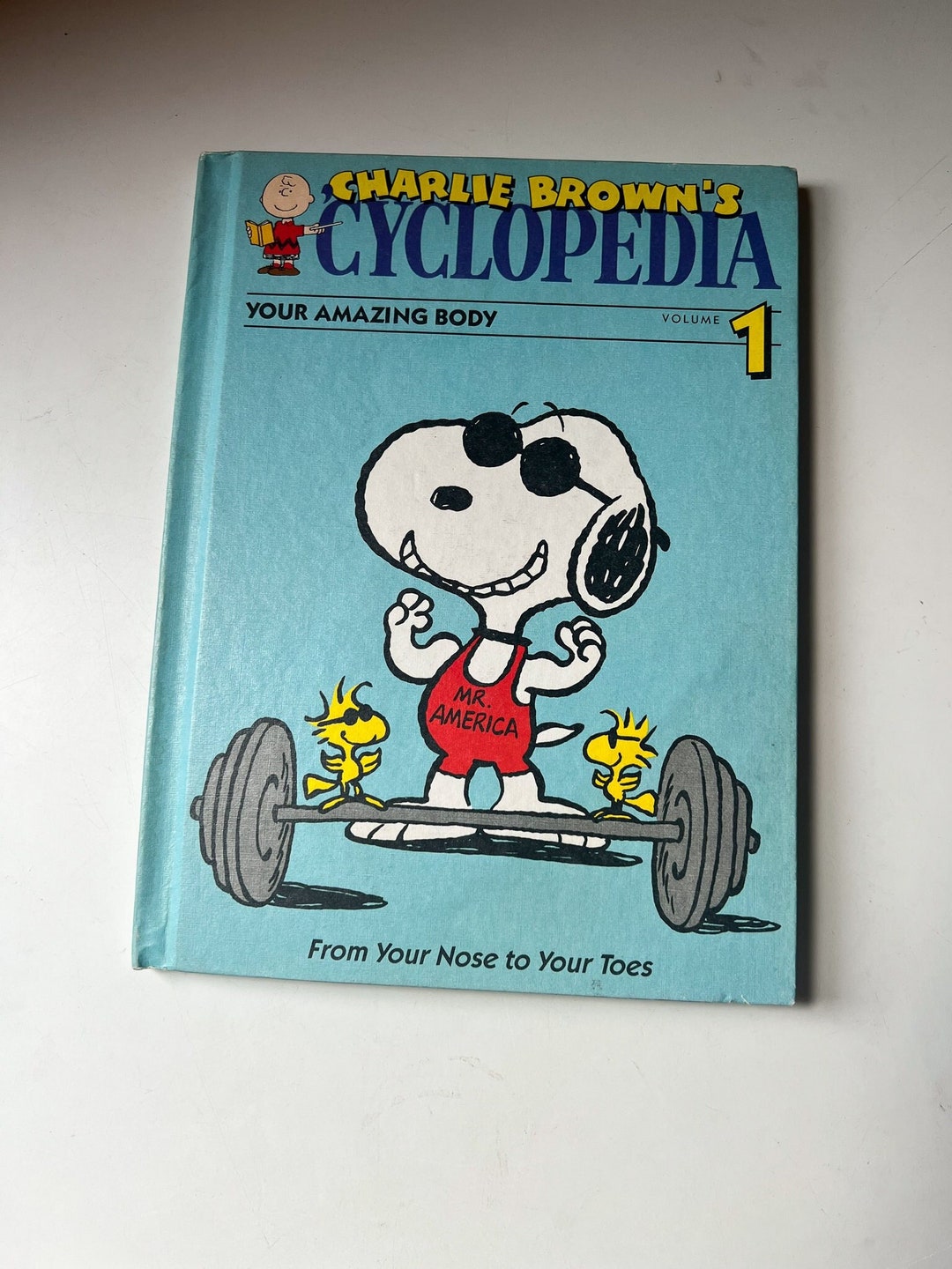 Vintage 1990 Charlie Brown's 'cyclopedia Vol. 1: Your Amazing Body ...