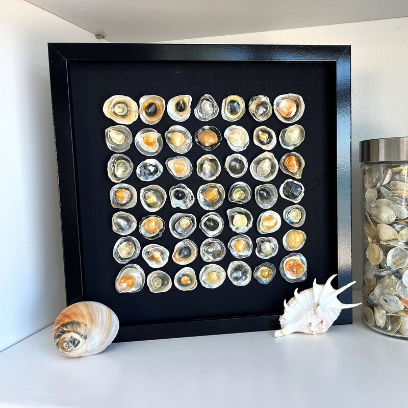 Seashell Art - Etsy