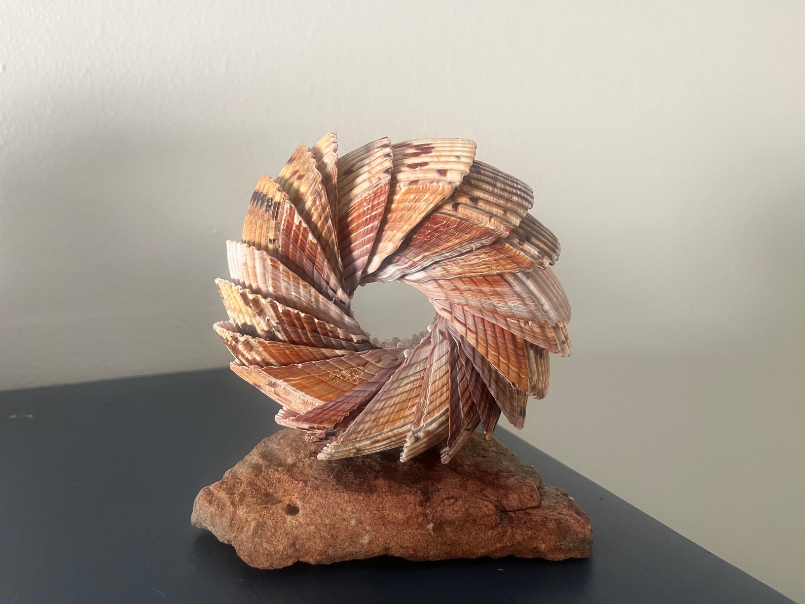 Shell Ring Decor, Giant Atlantic Cockle Shell Art, Cockle Shell ...