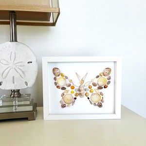 Seashell Butterfly, Seashell Collage Art, Seashell Shadowbox, Seashell ...