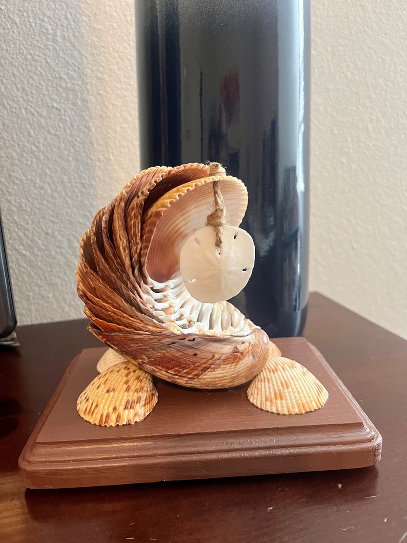 Giant Atlantic Cockle Shell Art, Cockle Shell Sculpture, Cockle Shells ...