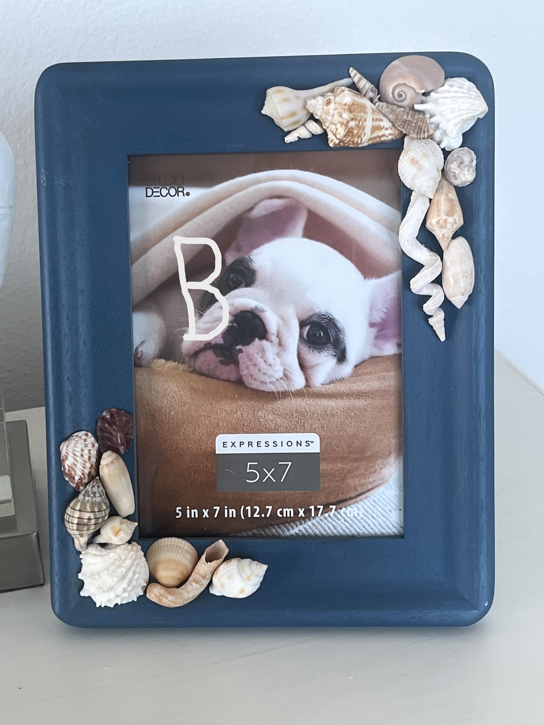 Seashell Accent Frame, Seashell Photo Frame, Seashell Frame, Coastal ...