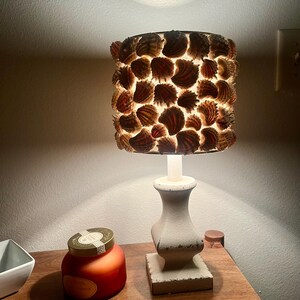 Seashell Lamp, Beach Home Decor, Coastal Decor, Sea Shell Lamp ...