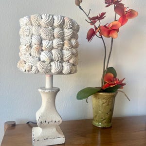 Seashell Lamp, Beach Home Decor, Coastal Decor, Sea Shell Lamp ...