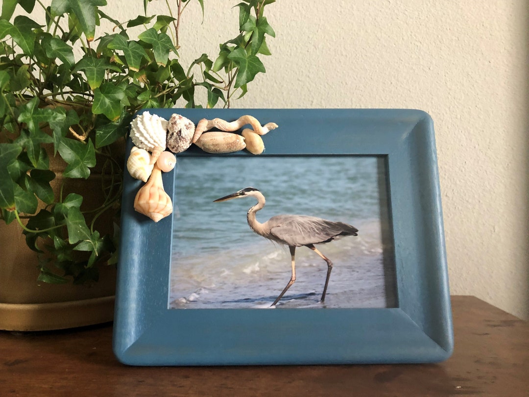 Seashell Accent Frame Seashell Photo Frame Seashell Frame - Etsy