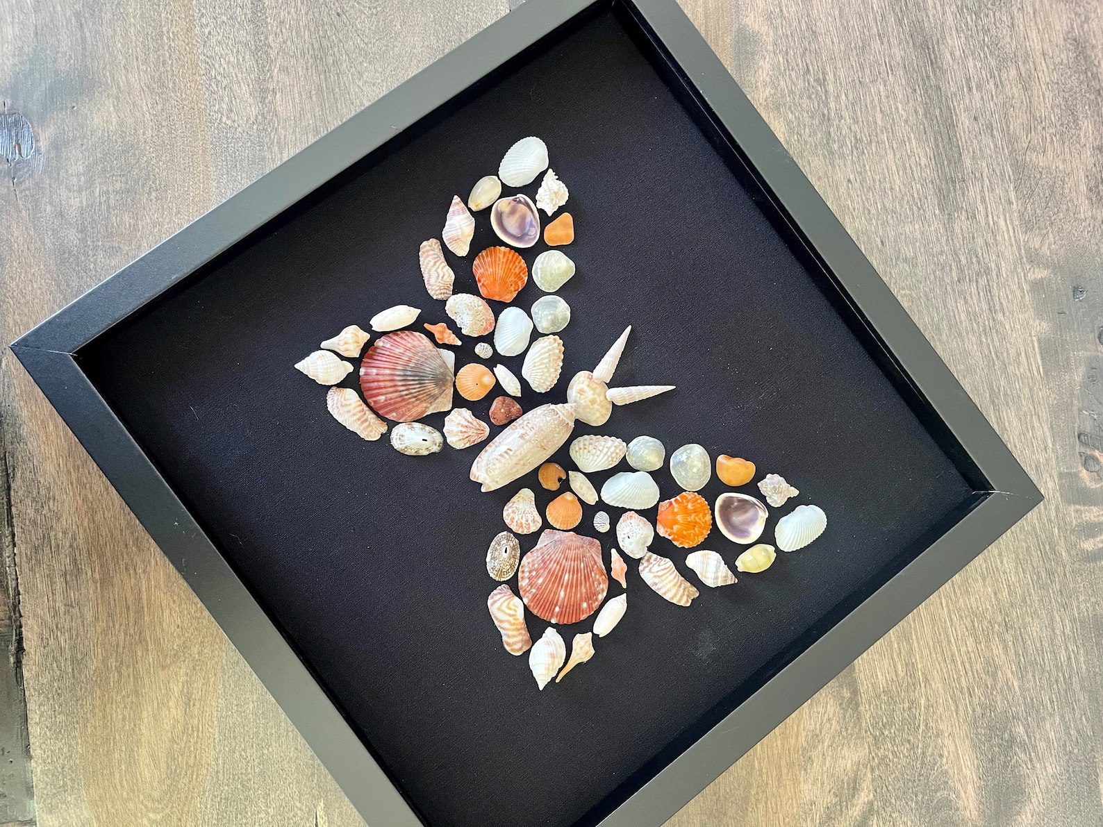Seashell Butterfly, Seashell Collage Art, 12x12 Seashell Shadowbox ...
