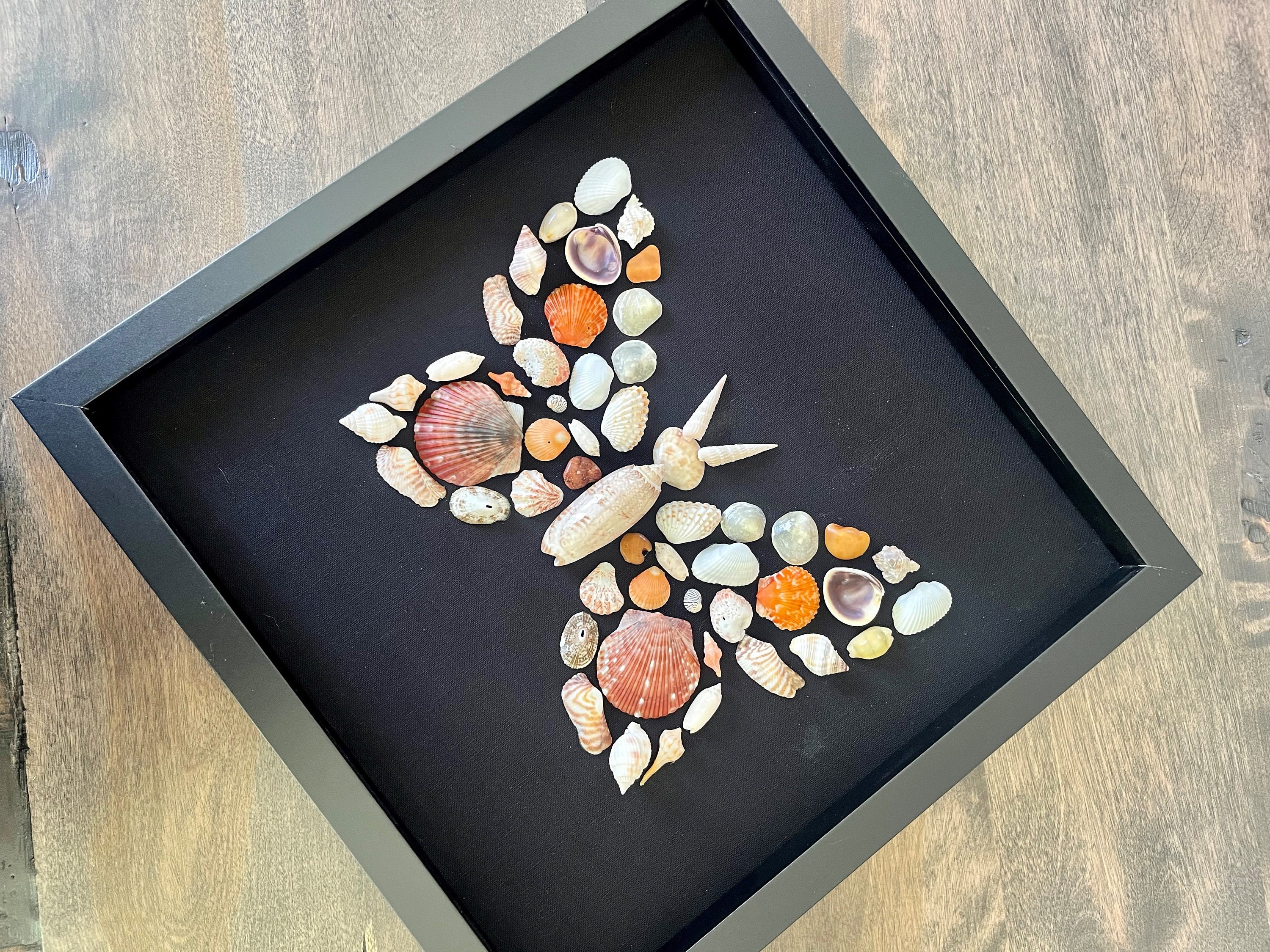 Seashell Butterfly, Seashell Collage Art, 12x12 Seashell Shadowbox ...